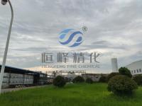 China Hengfeng Textile sludge treatment Cationic Polyacrylamide Flocculant PAM for sale