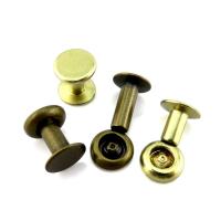 China 15-25 Working Days Semi Tubular Rivet for Salt Spray Endurance Test and Bulk Lead Time for sale