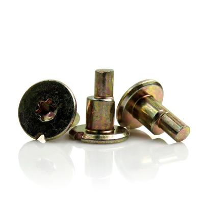China Sample free within 7days Standard DIN Custom Doors Windows Rivet Eccentric Solid Rivet for sale