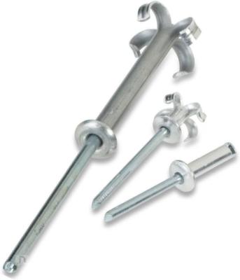 China Custom Finish Peel Type Aluminum Steel Pop Blind Peel Flower Rivets for sale