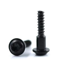 China Customized Stainless Steel Truss Head Black Dacromet Pan Torx Step Shoulder Screw for sale