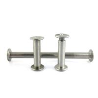China Metric Non Hardening Heat Treatment Custom Flat Head Silver Aluminum Chicago Screw Posts for sale