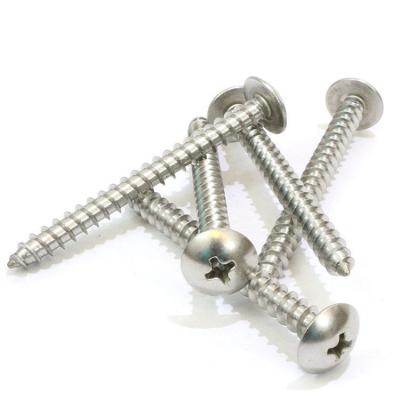 China Flat Head Self Tapping Thread or Machine Thread Stainless 304 Carbon Steel Screws for sale