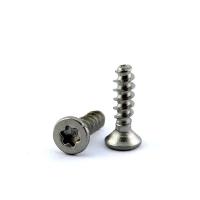 China Pan Head Custom WN1423 T8 Torx Countersunk Flat Head Thread Forming PT Screw for sale