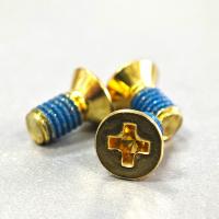 China Countersunk Head Phillips Brass Special Screws with Plain Finish for Long Lasting Performance for sale
