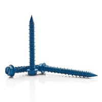 China Flange Head One Slot Self Tapping Screw with Corrosion Resistant Coating for Concrete and Metal for sale