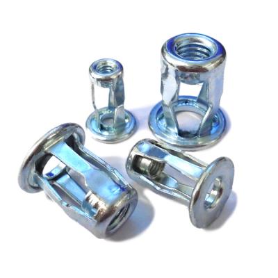 China M8 Stainless Steel Jack Nut for Hollow Wall Anchoring with Corrosion Resistance for sale