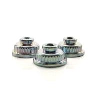 China Carbon Steel Custom Flange Lock Nut with Anti-Loosening Design for Heavy Industry for sale