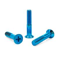 China Cobalt Blue PVD Coated Countersunk Phillips Screw Partial Thread & 316L Stainless for sale