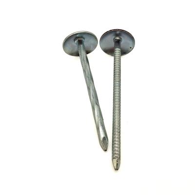China Galvanized Steel Roofing Nail with Large Flat Head and 13mm~180mm Length for Secure Fastening for sale