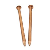 China Copper Flat Head Nail – Anti-Corrosion Marine Grade Fastener for Electrical & Decorative Applications for sale