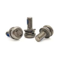 China Stainless Steel Snake-Eye Security Screw – Double Spring & Flat Washers with Anti-Tamper Drive for sale