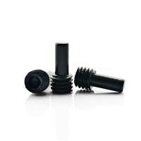 China Socket Drive Custom Black Zinc Special Dog Point Set Screw for Non-standard Applications for sale