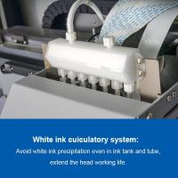 China 60cm DTF Printer PET Film Printer with XP600 4720 i3200 Print Head 720x2880dpi for sale
