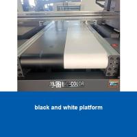 China High Speed One Pass UV Printer for Carton Packaging and Kraft Paper Bags 25cm Height for sale