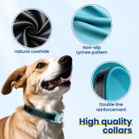 China Custom Luxury Dog Collar Leather Waterproof Personalized Design for sale