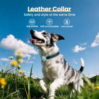 China Custom Luxury Dog Collar Leather Waterproof Personalized Design for sale