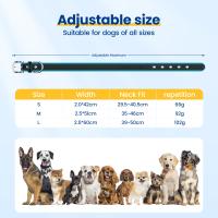 China Custom Luxury Dog Collar Leather Waterproof Personalized Design for sale