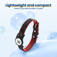 China Customized Leather Dog Collar Reflective Luxury Halloween Design for sale