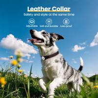 China Customized Leather Dog Collar Reflective Luxury Halloween Design for sale
