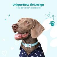 China Custom Silicone NFC Dog ID Tags with APP - Wholesale for sale