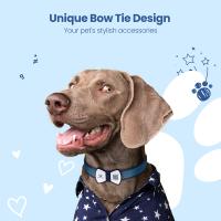 China Pawview Silicone Dog ID Tag with QR NFC Code for sale
