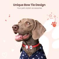 China Pawview Silicone Dog ID Tag with NFC for AirTag for sale