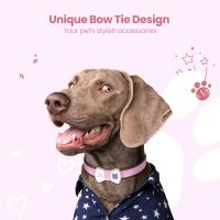 China Pawview Silicone Dog ID Tag with NFC AirTag Compatibility for sale
