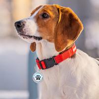 China Custom Silicone NFC QR Code Dog ID Tag with APP for sale