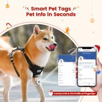 China Pawview QR Code Pet ID Tag for Dogs - Eco-Friendly Silicone for sale