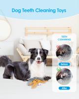 China Eco-Friendly Squeaky Dog Chew Toy Plush for Indoor Outdoor Play for sale