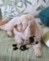 China Eco-Friendly Squeaky Plush Dog Toy for Interactive Play for sale