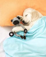 China Eco-Friendly Squeaky Plush Dog Toy for Interactive Play for sale