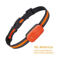 China 4G GPS Tracker for Dogs Cats Waterproof IP67 Real Time Tracking for sale