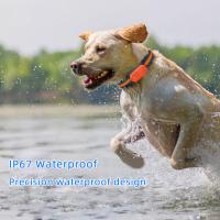 China 4G GPS Tracker for Dogs Cats Waterproof IP67 Real Time Tracking for sale