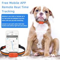 China 4G GPS Tracker for Dogs Cats Waterproof IP67 Real Time Tracking for sale