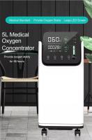 China Home Therapy 10 Liter Medical Oxygen Concentrator Machine Portable for sale