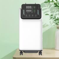 China Molecular Sieve 10LOxygen Concentrator Generator Household for sale