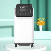 China Health Care 10L Oxygen Concentrator 10 Litre Portable Personal Use for sale