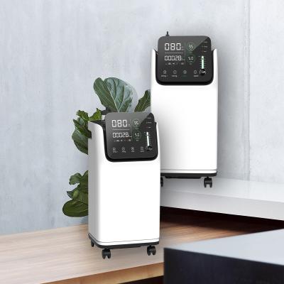 China 5L Economic Oxygen Breathing Machine 94% High Purity for sale