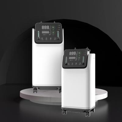 China Intelligent 10L Medical Oxygen Concentrator Portable for sale
