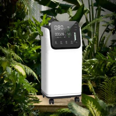 China High Flow 1 - 5 L O2 Oxygen Generator With Nebulizer Medical Standard for sale