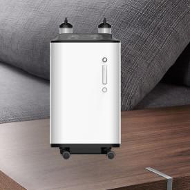 China Medical 10L Mute Portable Oxygen Concentrator Specially Designed For People for sale