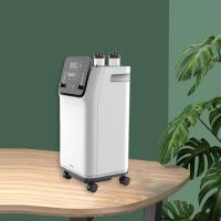 China Dual Flow 10L Oxygen Concentrator For All Kinds Of People for sale