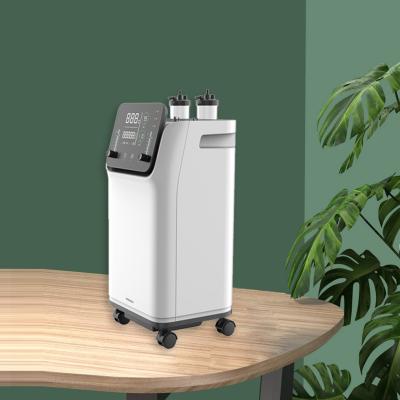 China Dual Flow 10L Oxygen Concentrator For All Kinds Of People for sale