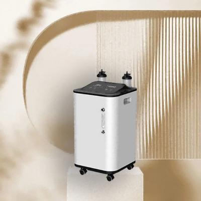 China Low Noise Light Weight Medical Oxygen Concentrator Physical Therapy for sale