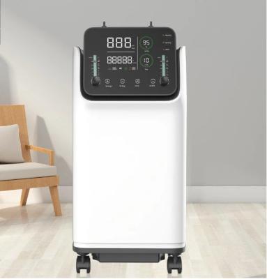 China 10 litre Constant Flow Portable Concentrator Oxygen Machine For Hospital for sale