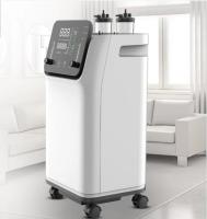 China 10 L High Flow Portable Household Oxygen Generator Concentrator 95% for sale