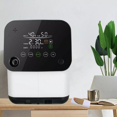 China Medical Homecare 1 Litre Oxygen Concentrator Apparatus For Patients for sale