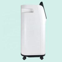China OEM High Purity 5 Litre Oxygen Concentrator 15 Lpm For Home for sale
